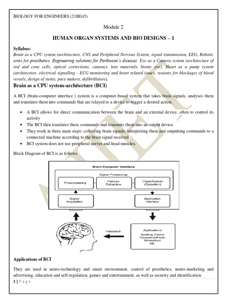 Module 2 Biology Notes | PDF | Nervous System | Heart