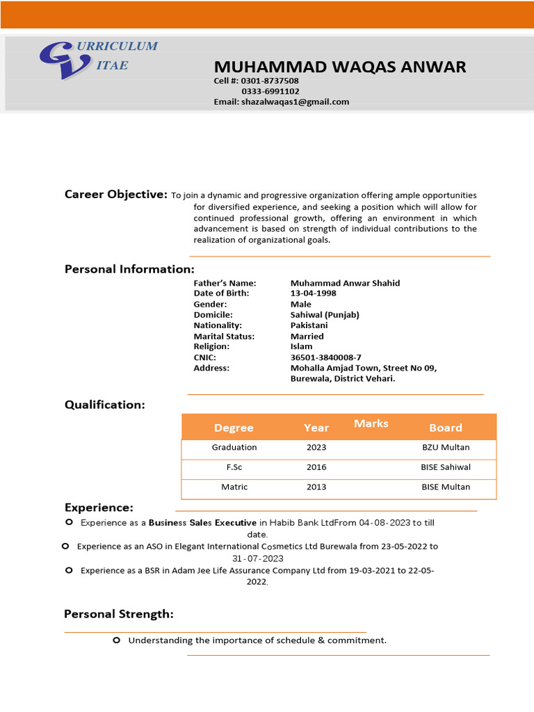 Waqas CV Updated | PDF