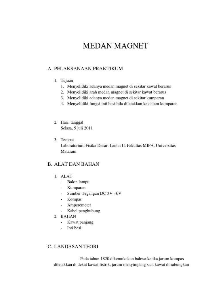 Medan Magnet | PDF