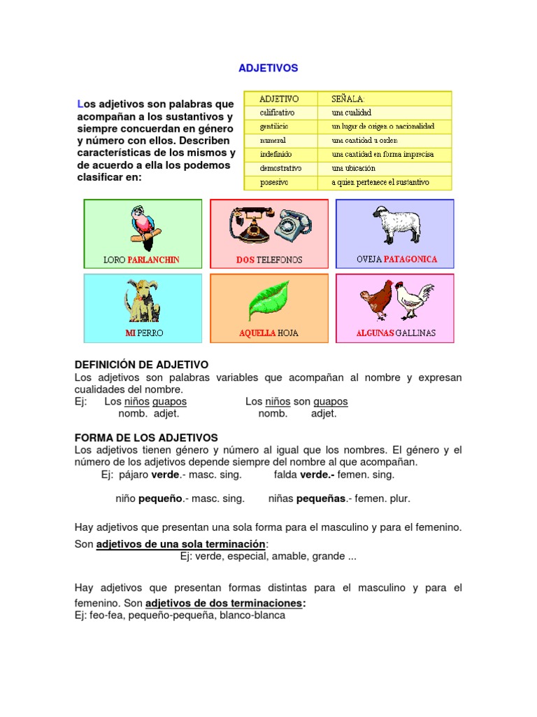 ADJETIVOS | Adjetivo | Género gramatical