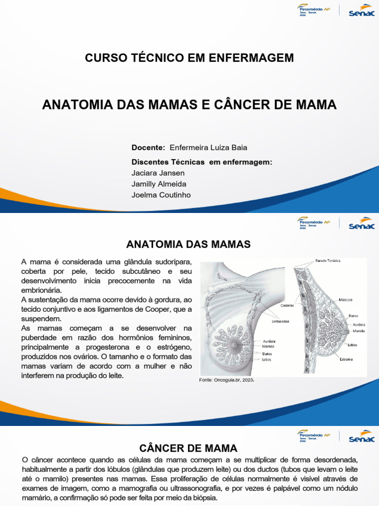 Anatomia Das Mamas e CA DE MAMAS | PDF | Câncer de mama | Câncer
