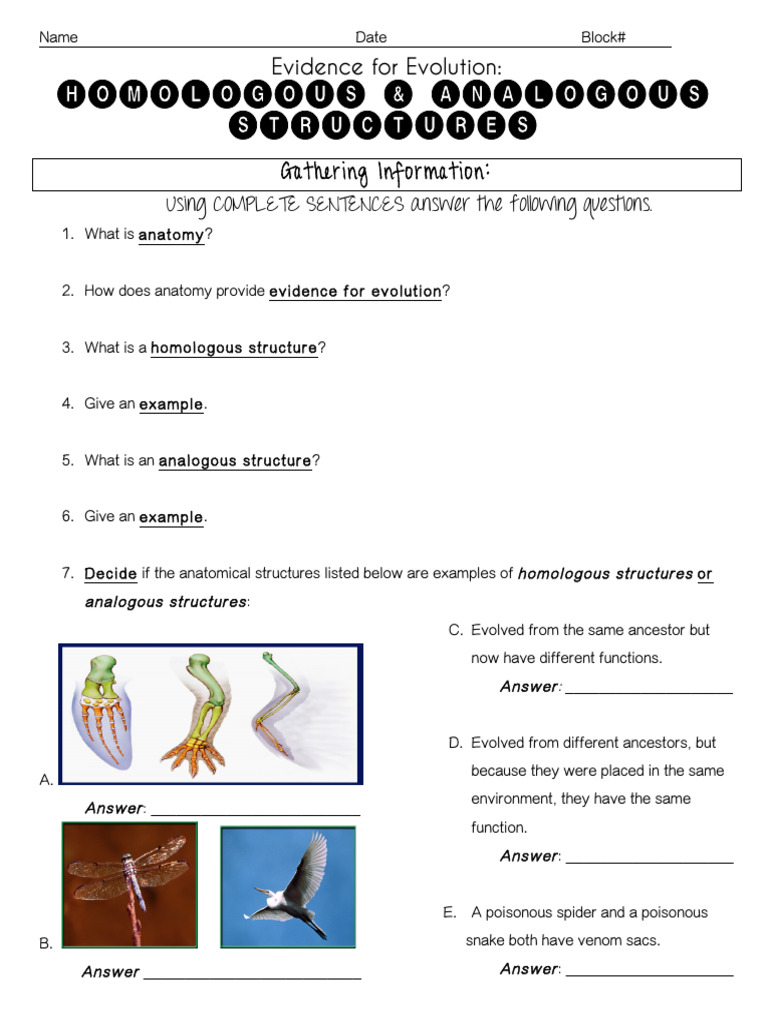 Homologous vs. Analogous Structures Guide | PDF | Homology (Biology ...