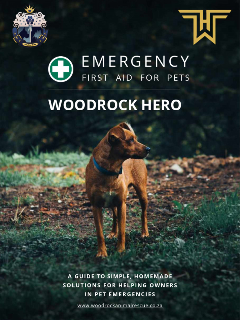 Woodrock Animal Rescue Emergency First Aid ForPets | PDF