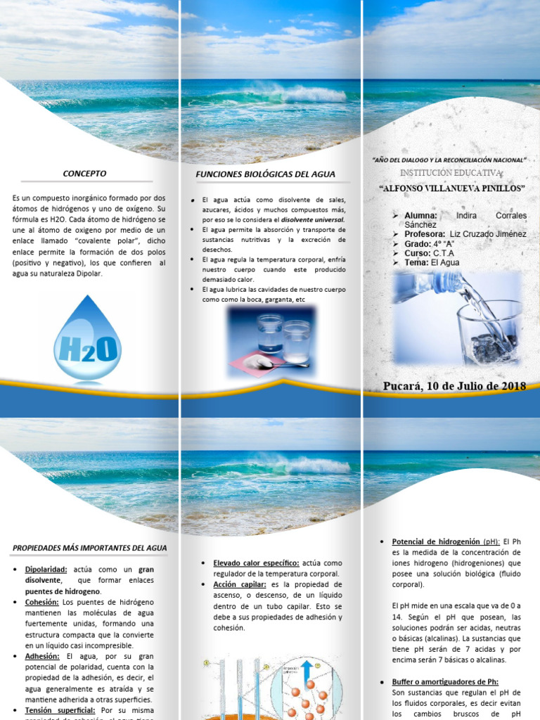 Triptico Indira | PDF | Propiedades del agua | Ph