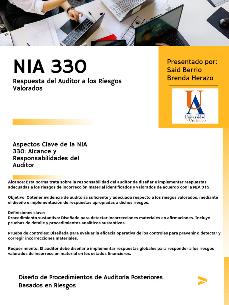 NIA 330 Exp | Descargar gratis PDF | Auditoría | Contralor