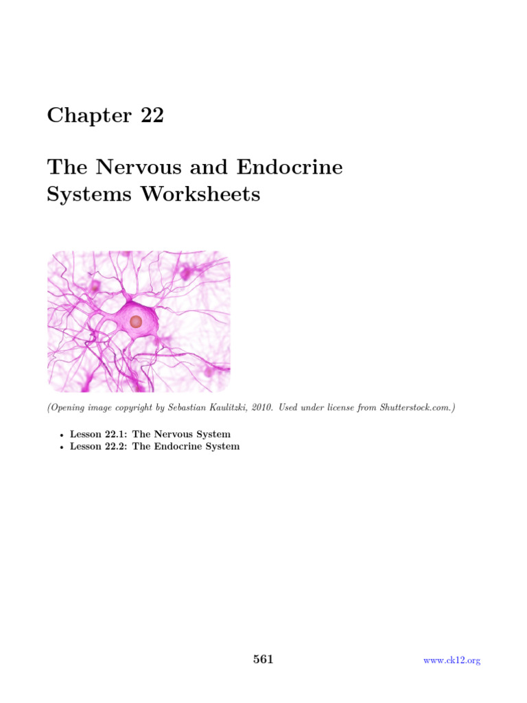 CK-12 Biology Chapter 22 Worksheets | PDF | Neuron | Axon