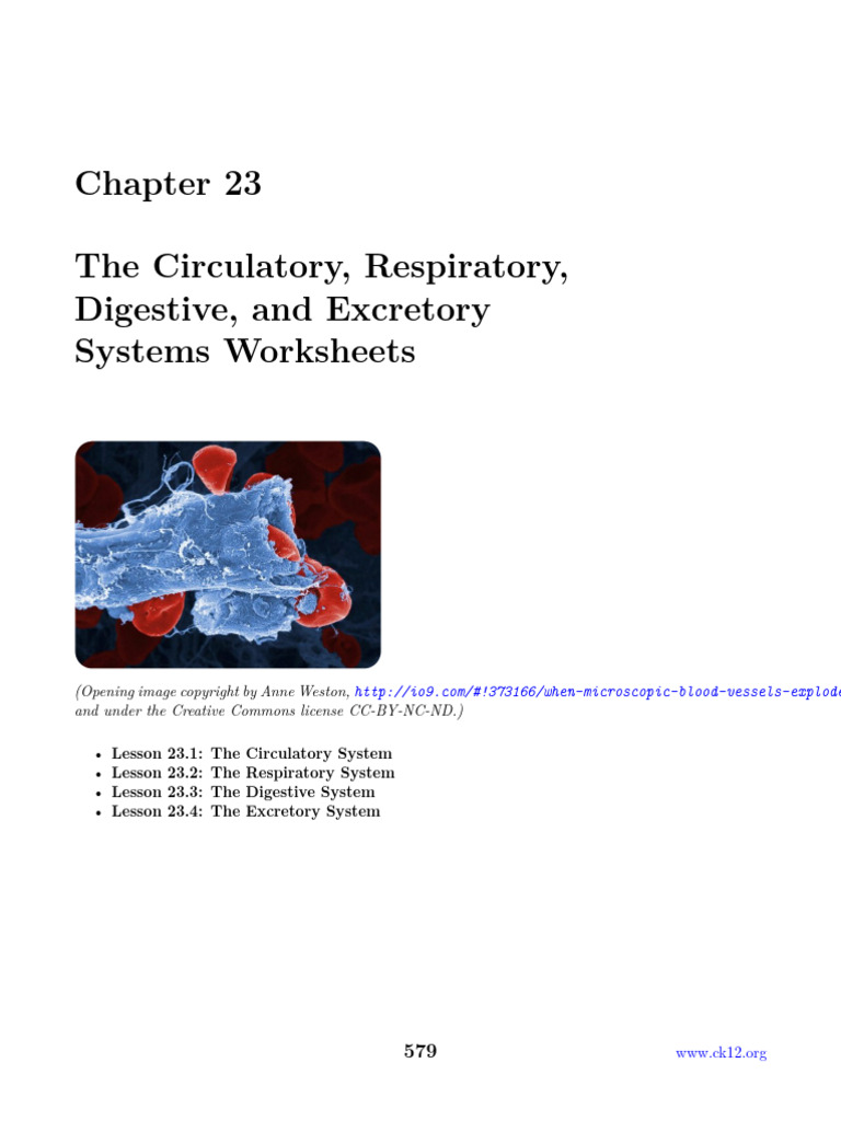 CK-12 Biology Chapter 23 Worksheets | PDF | Heart | Small Intestine