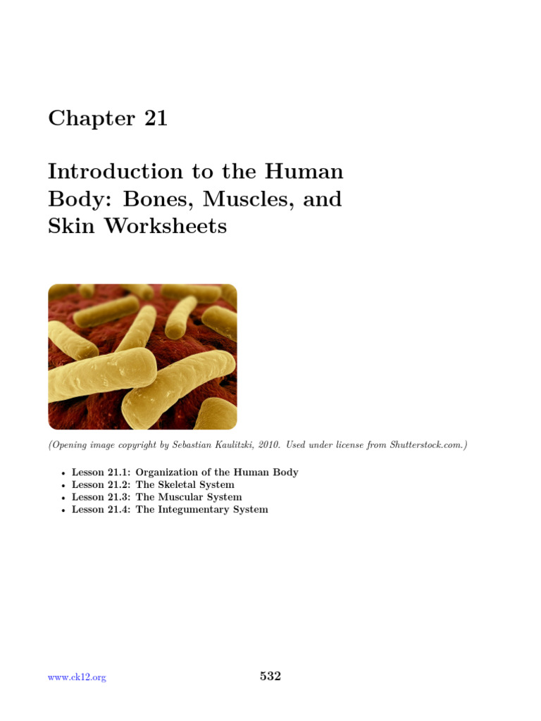 Ck 12 Biology Chapter 21 Worksheets[1] Pdf Muscle Bone