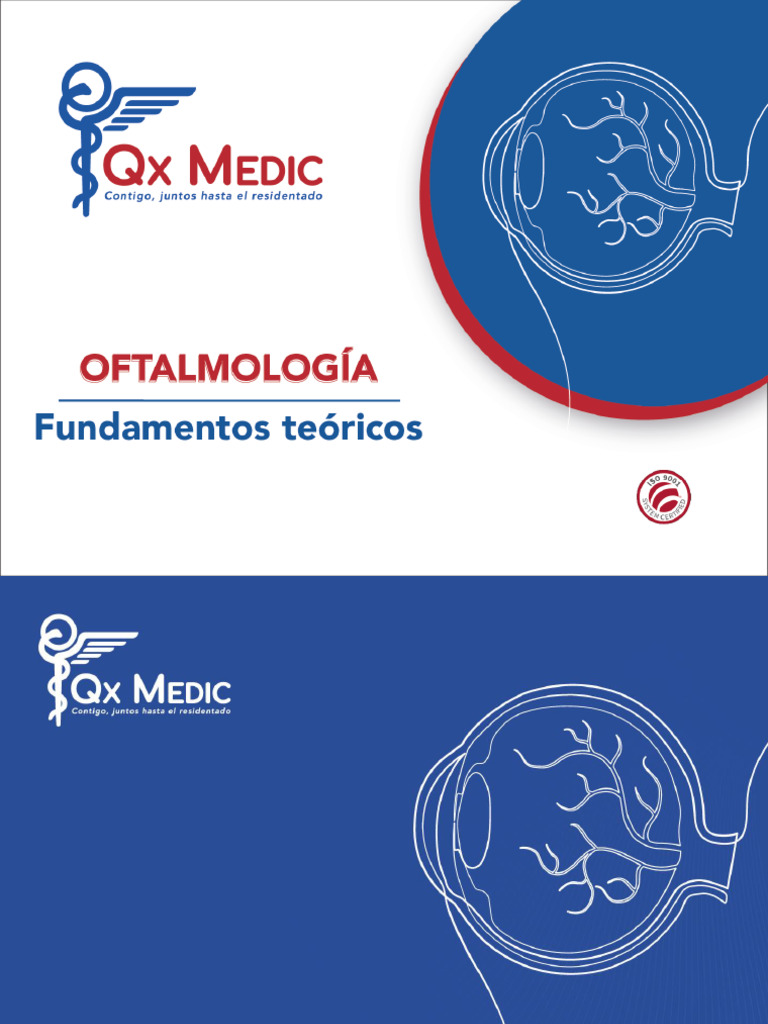 Guía Completa sobre Ojo Rojo y Patologías Oculares | PDF | Glaucoma ...