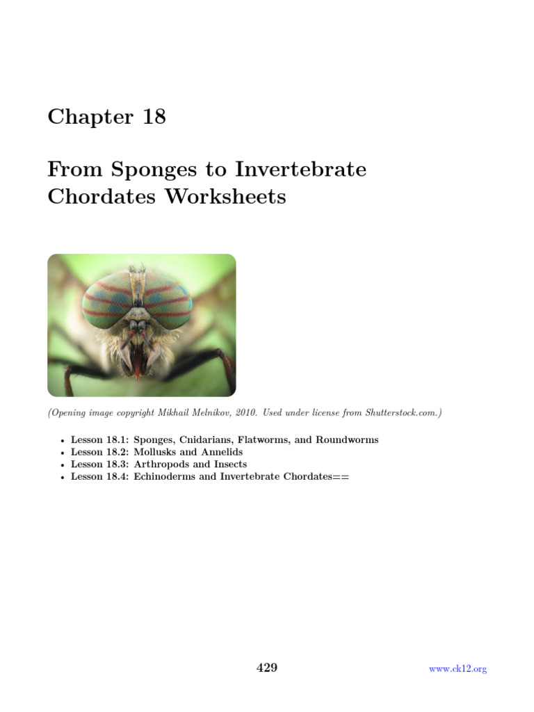 CK-12 Biology Chapter 18 Worksheets | Download Free PDF | Mollusca ...