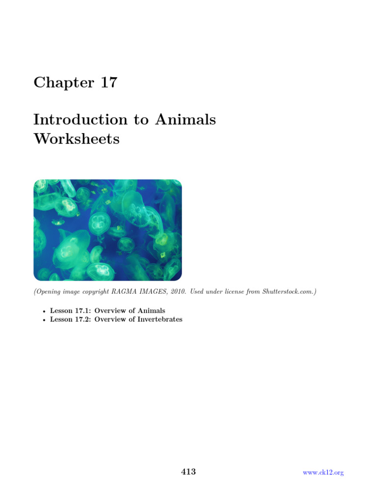 CK-12 Biology Chapter 17 Worksheets | PDF | Invertebrate | Zoology