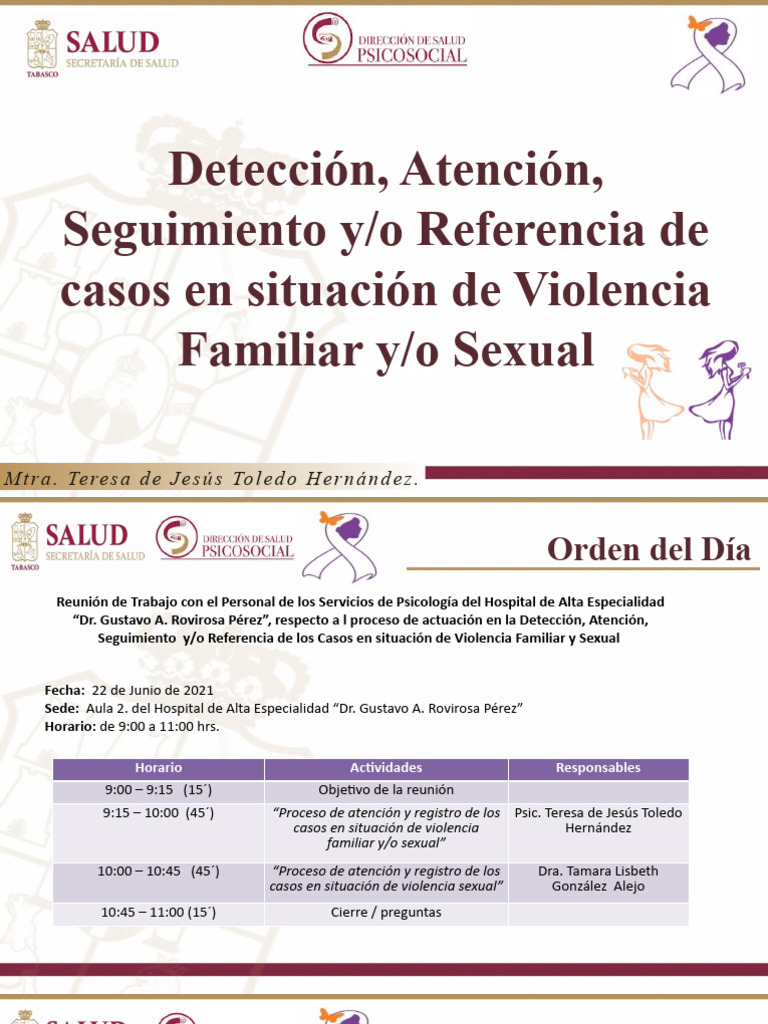 Proceso de Atención a la Violencia Familiar | PDF | Violencia ...