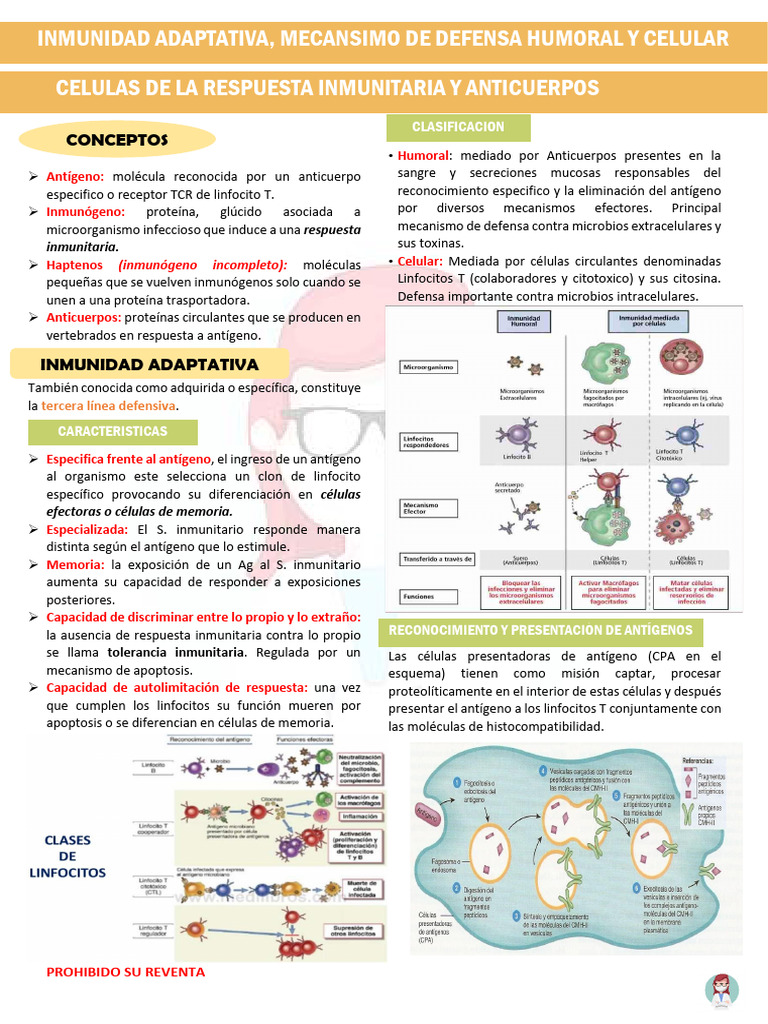 Inmunidad Adaptativa | PDF | Sistema inmune | Antígeno