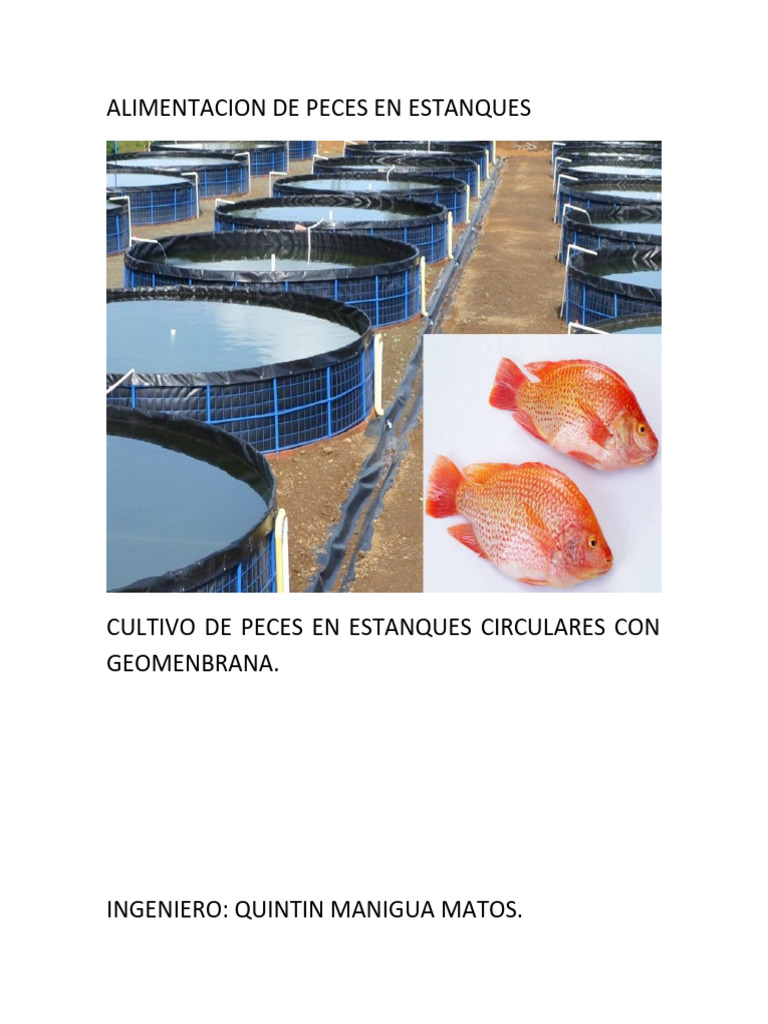 Guia Practica De Alimentacion De Peces Pdf Alimentos Pescado