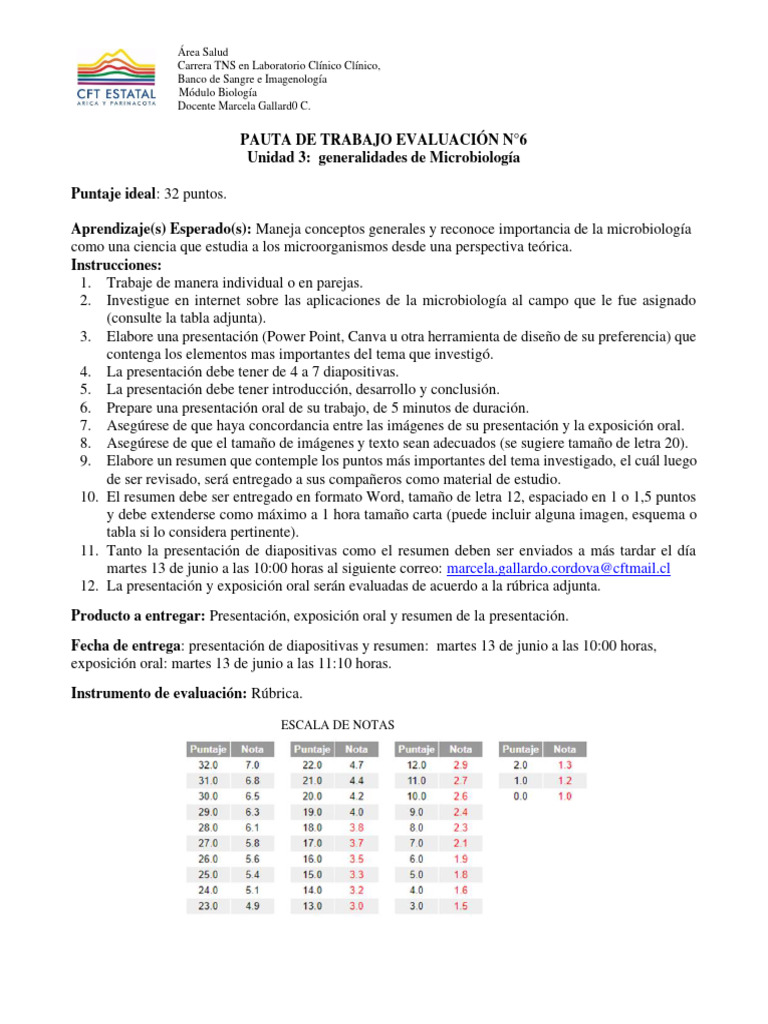 PAUTA DE TRABAJO Y RÚBRICA | PDF | Laboratorios | Evaluación