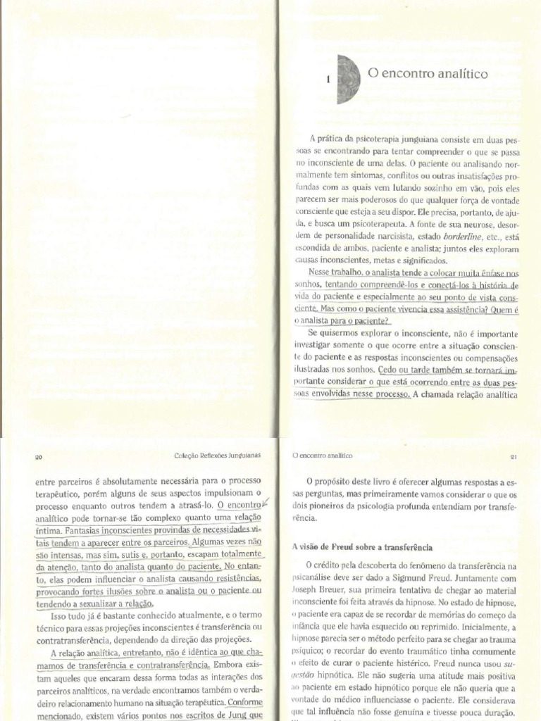 O Encontro Analítico - Mario Jacoby | PDF