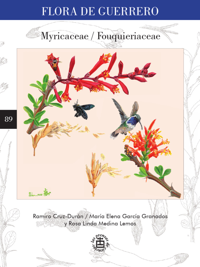 Flora de Guerrero 089 Myricaceae-Fouquieriaceae | PDF | Flores | Hoja