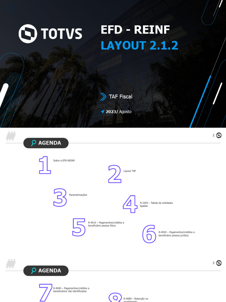 Reinf 2.1.2 Taf Protheus 12 Introdução Ao Reinf | PDF | Impostos | Renda