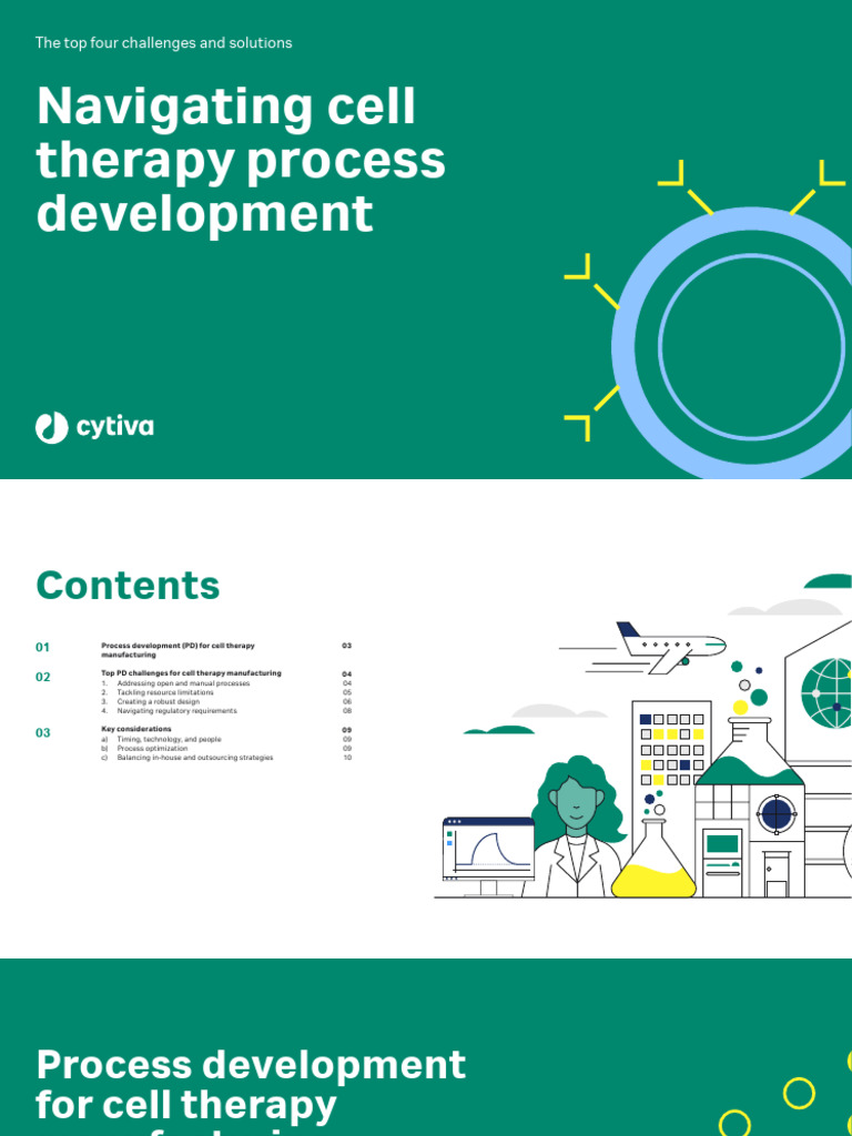Navigating cell therapy process development | PDF | Phases Of Clinical ...