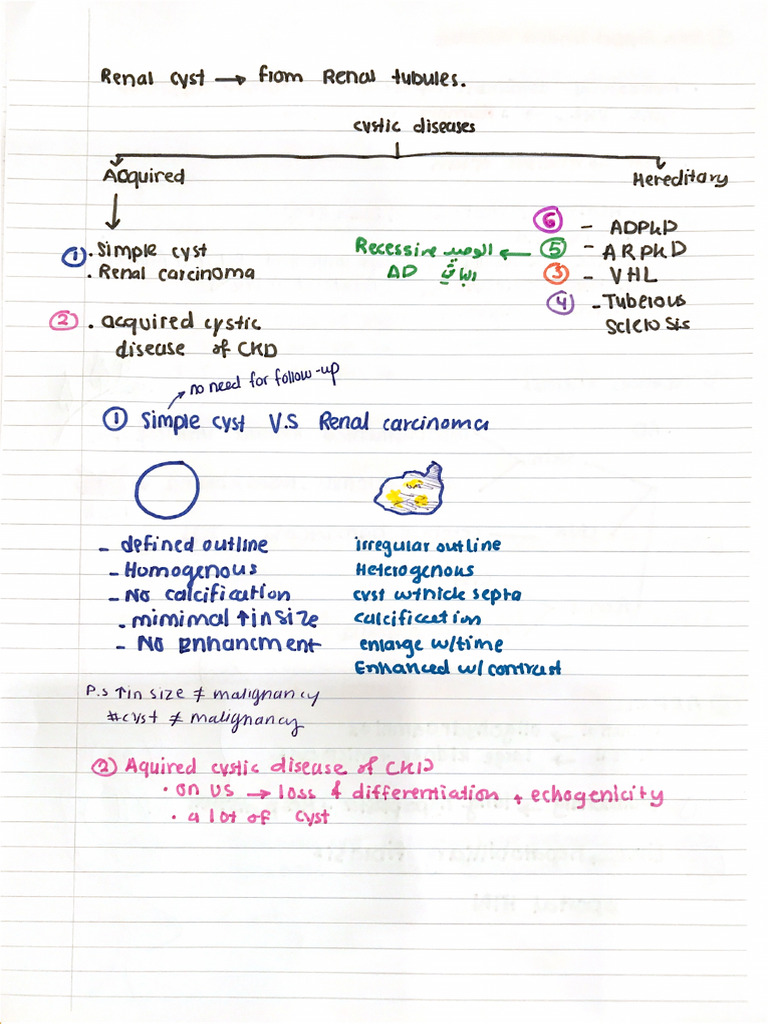 Renal Cyst | PDF