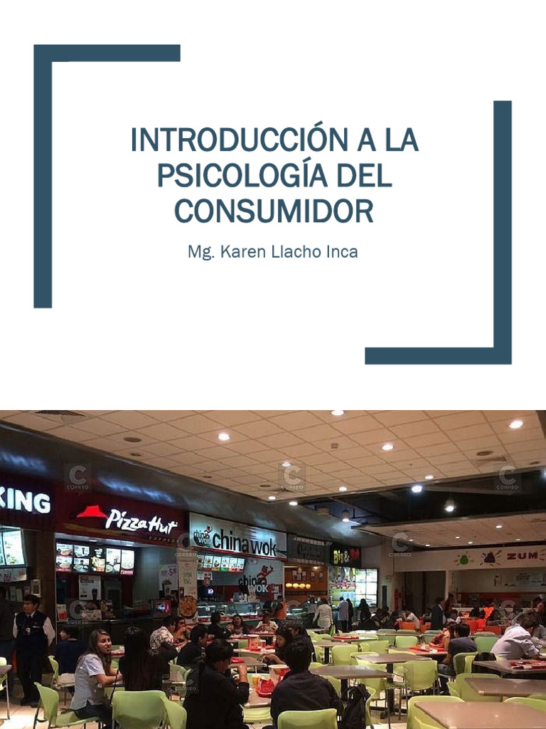 introducción a psicologia del consumidor | PDF