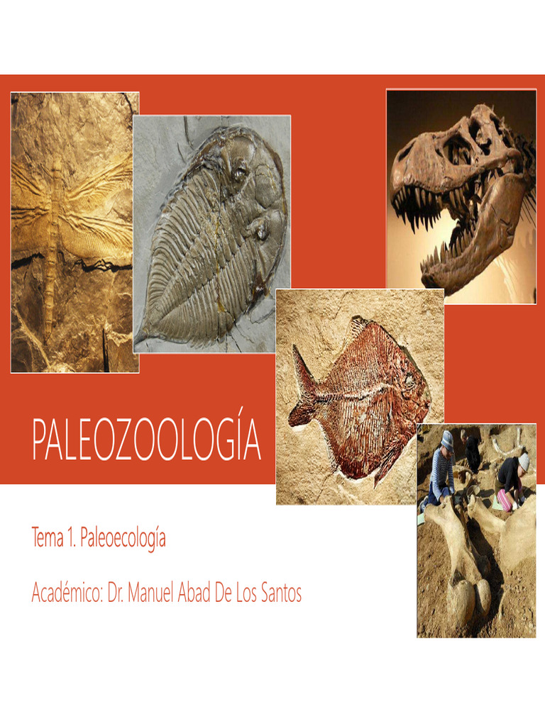 tema 1 paleoecologia | PDF | Ecología | Ecosistema
