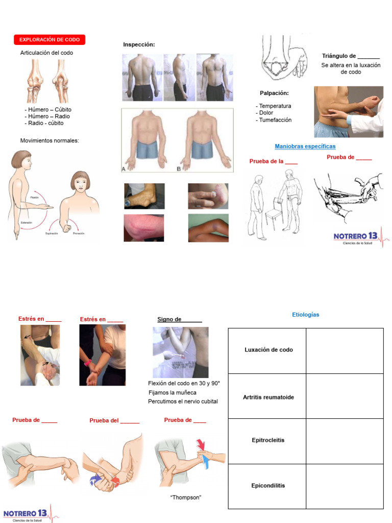 Guia Exploracion de Codo | PDF