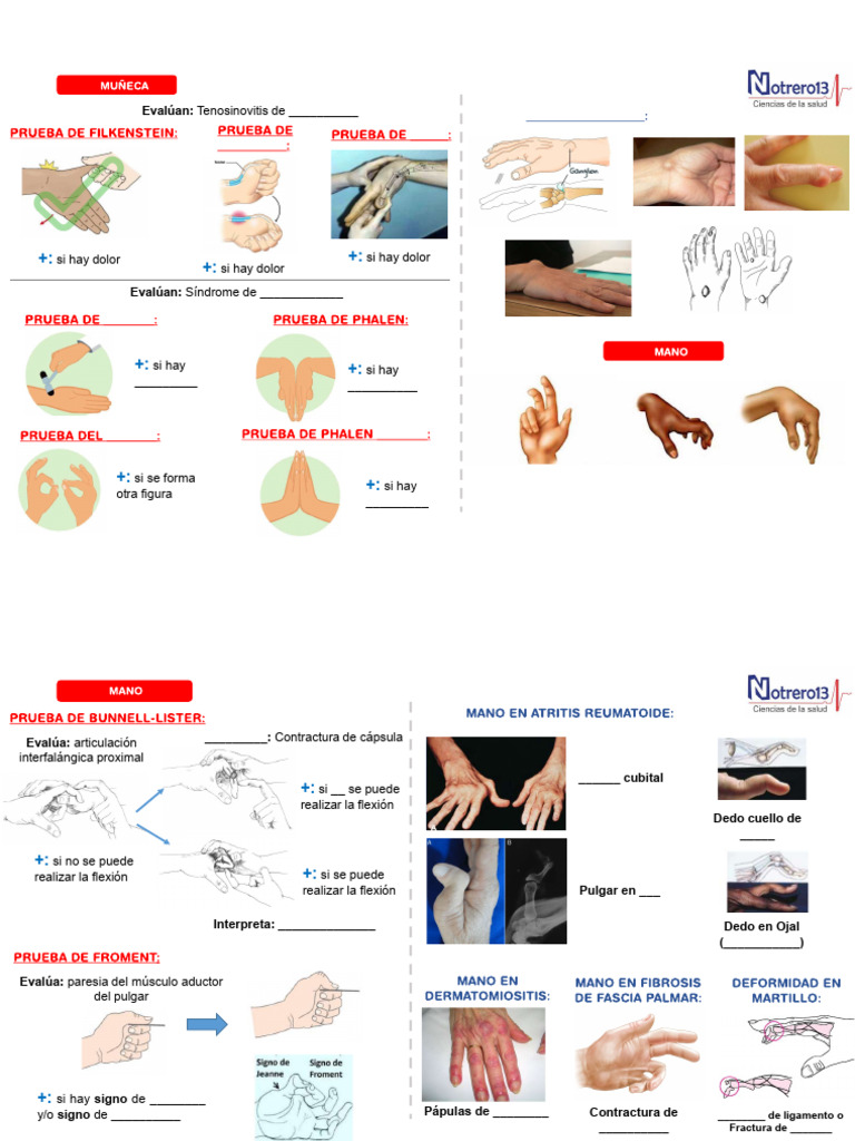 Material de Evaluacion de Mano | PDF