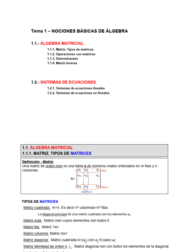 Diapositivas Tema 1 Mate I | PDF | Matriz (Matemáticas) | Determinante
