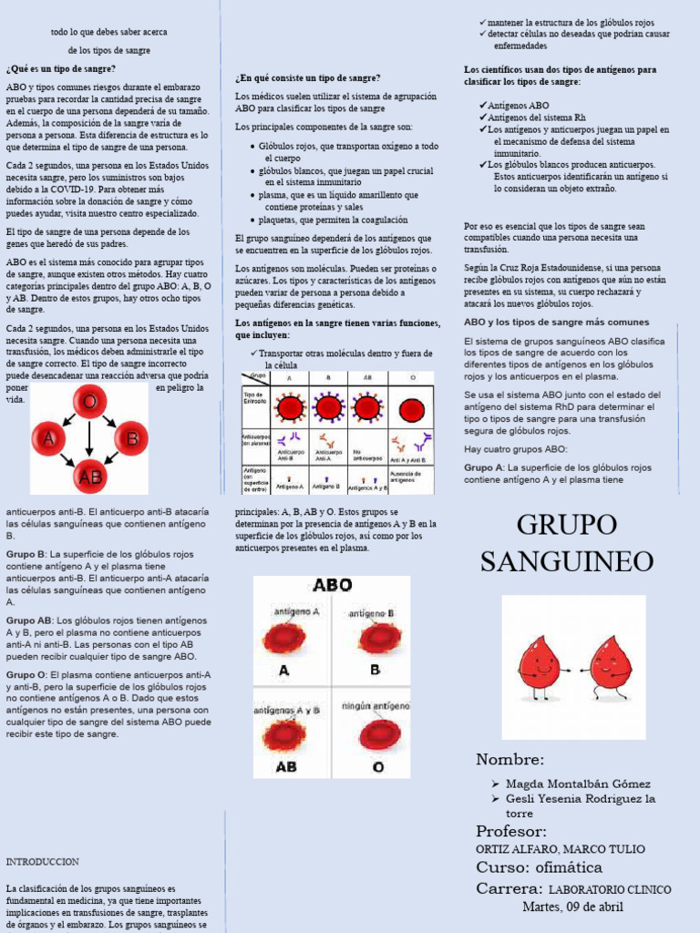 Triptico Ofimatica | PDF | Tipo de sangre | Sangre