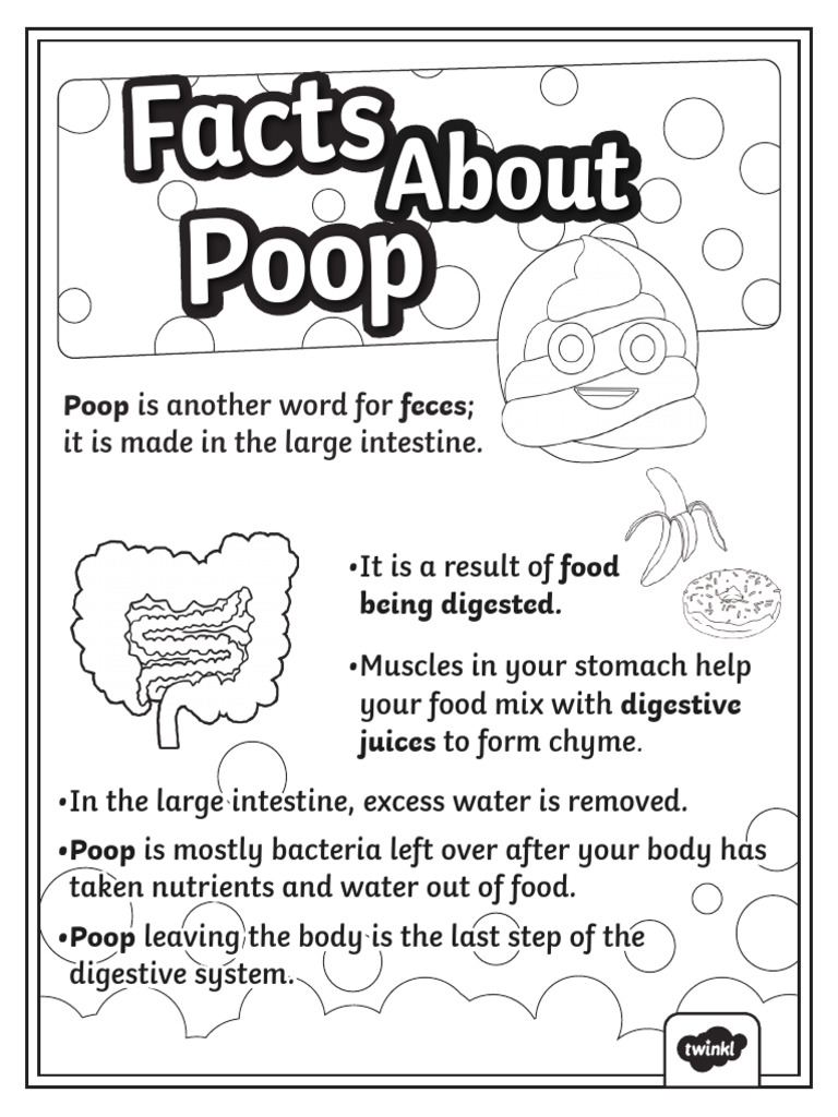 BW Facts About Poop Poster | PDF | Wellness