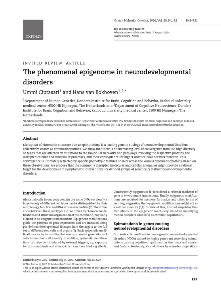 The Phenomenal Epigenome in Neurodevelopmental | PDF | Epigenetics | Nmda Receptor