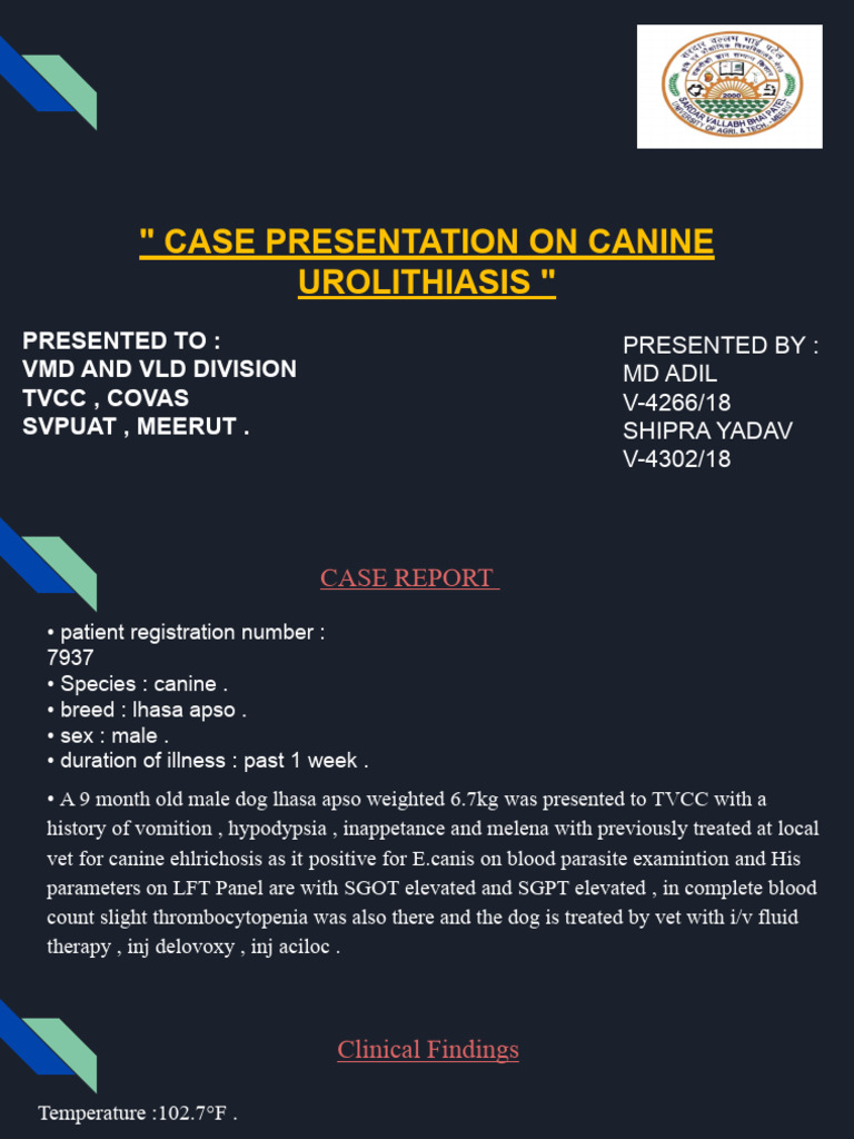 Canine Urolithiasis Case Presentation | PDF | Stomach | Medical Specialties
