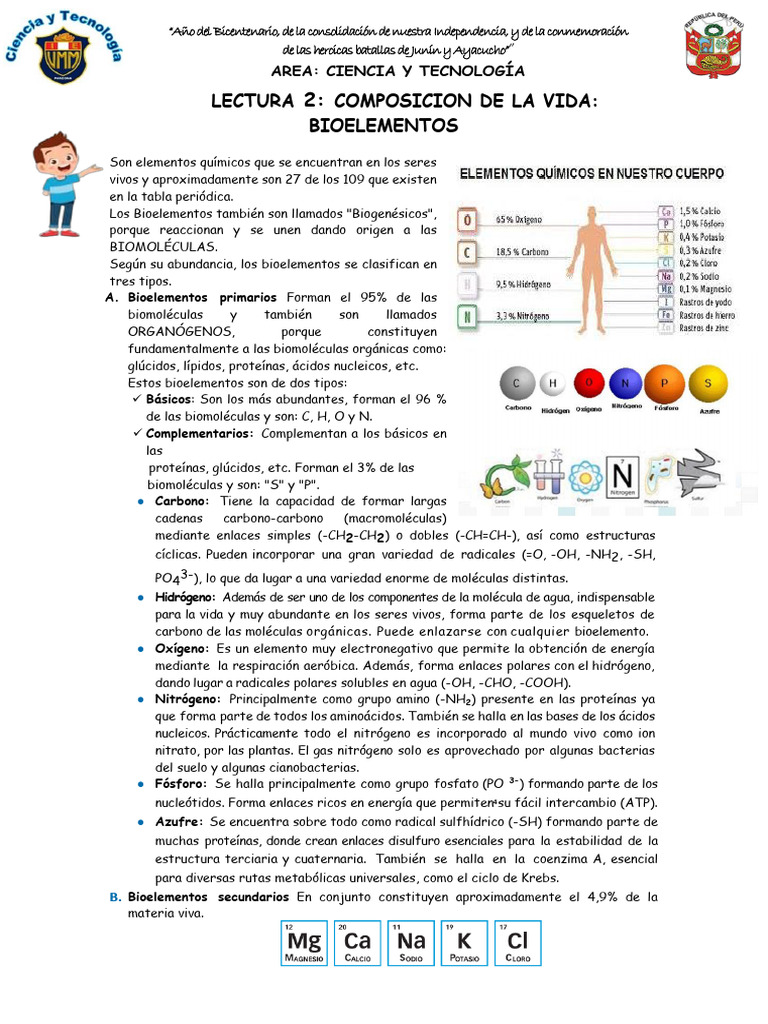 Lectura 2 Unidad 1 - 4º Grado Cyt | PDF | Biomoléculas | Carbohidratos