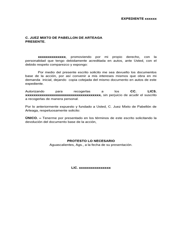 Solicitud Devolucion de Documentos Originales | PDF