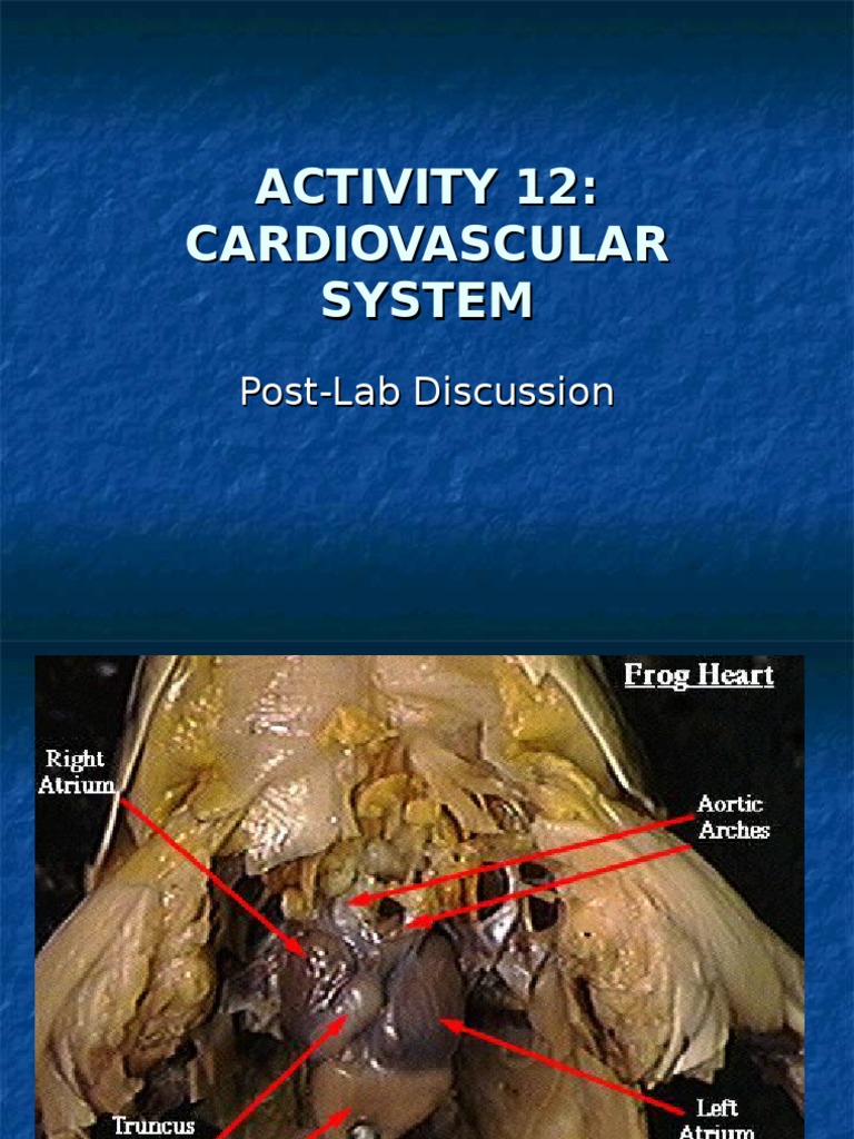 Activity 12 - Postlab CV System | PDF