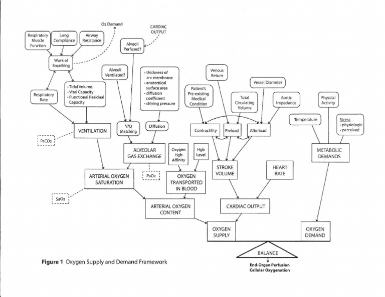O2 Supply and Demand Framework | PDF | Respiratory System | Pulmonology