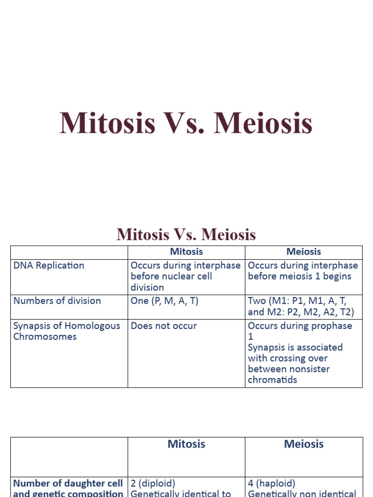2 Mitosis Vs Meiosis | PDF | Meiosis | Chromosome