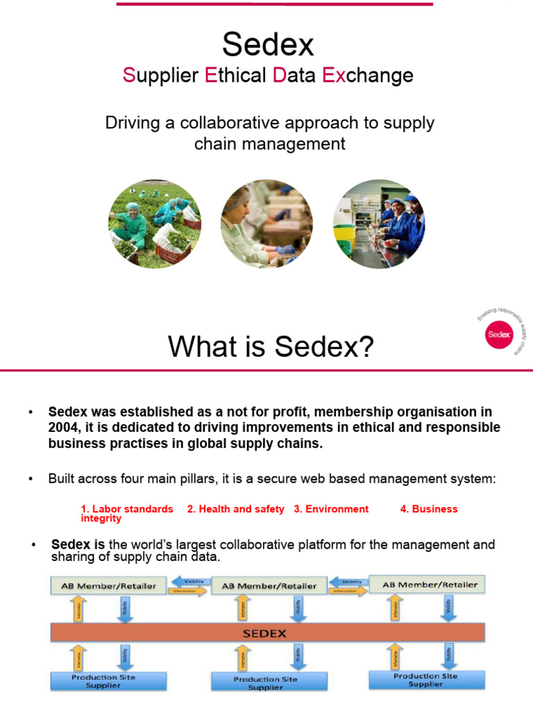 Sedex-Overview - Part1 | PDF | Supply Chain | Business