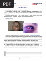 Identidade Visual Do Governo Do Pará | PDF