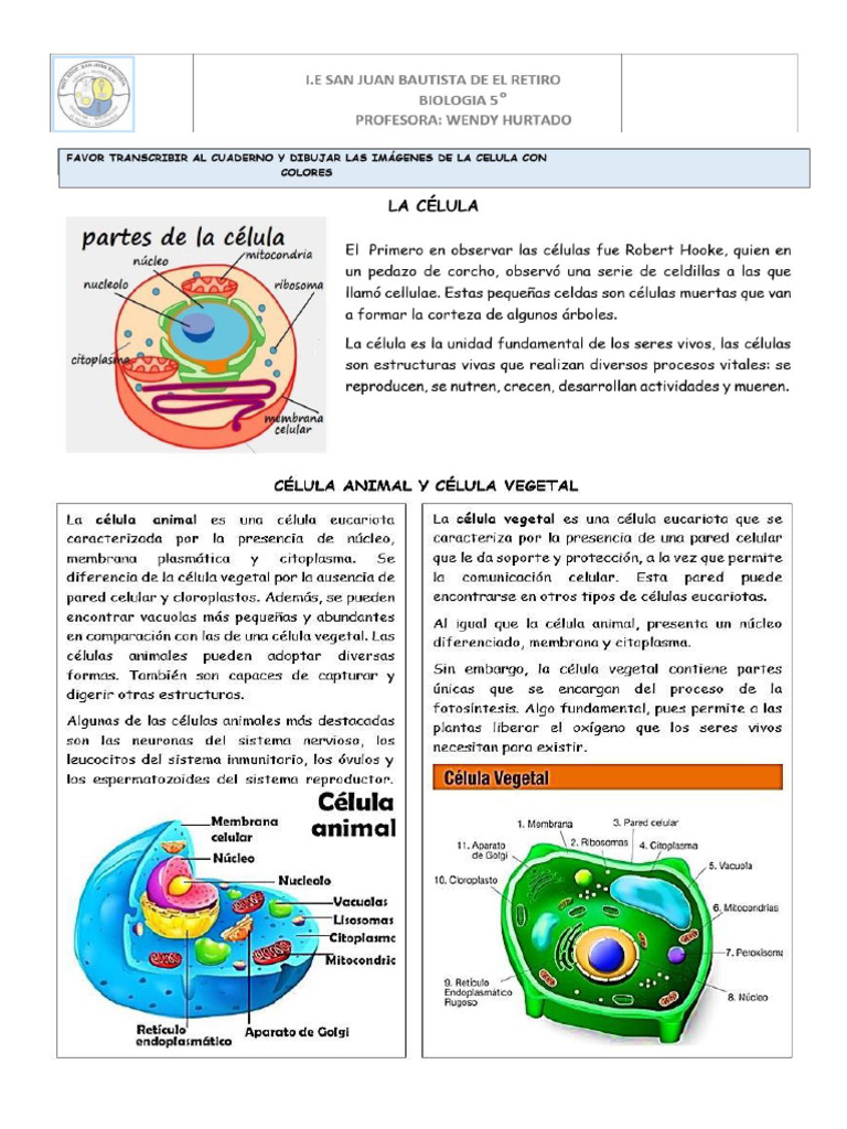 Clase de La Celula 5° | PDF