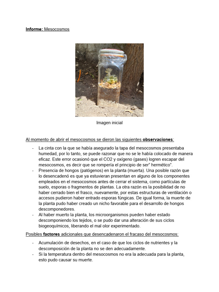 Fallas en el Mesocosmos: Análisis y Causas | PDF | Plantas | Hongo