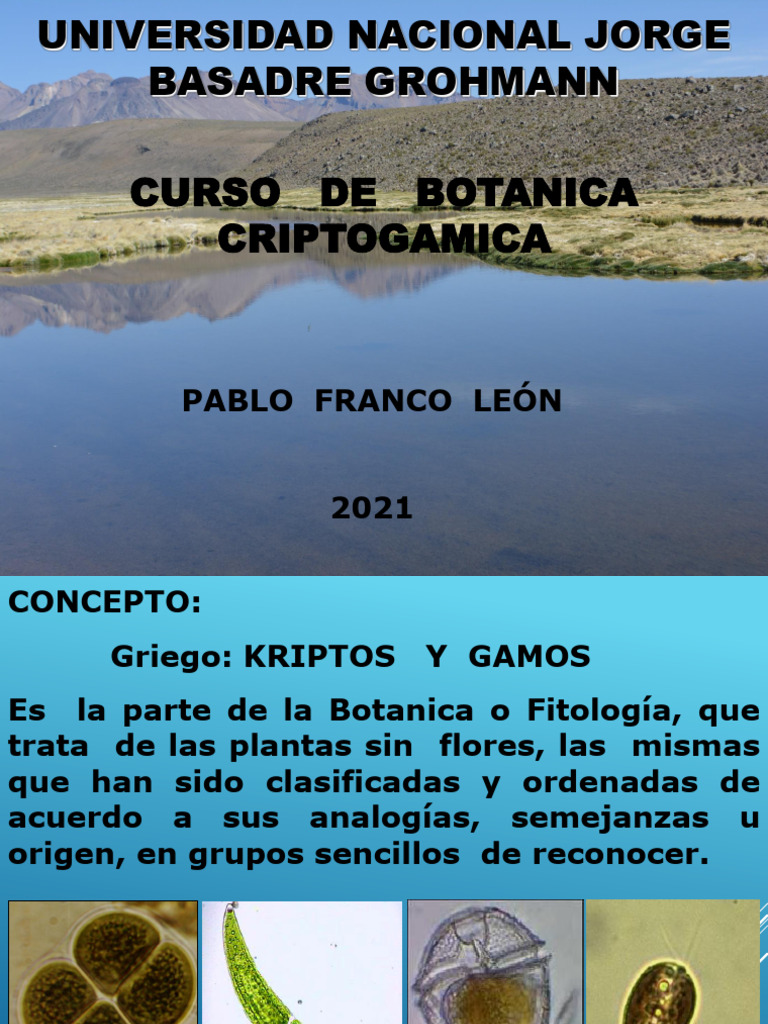 Clase 1 B. Criptogamia 2021 Introduccion | PDF | Taxonomía (biología) | Biología Celular)