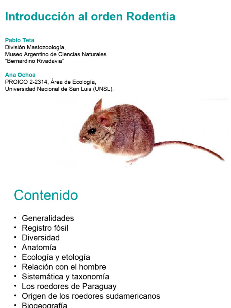 Curso Roedores, Primera Parte | PDF | Roedor | Cráneo