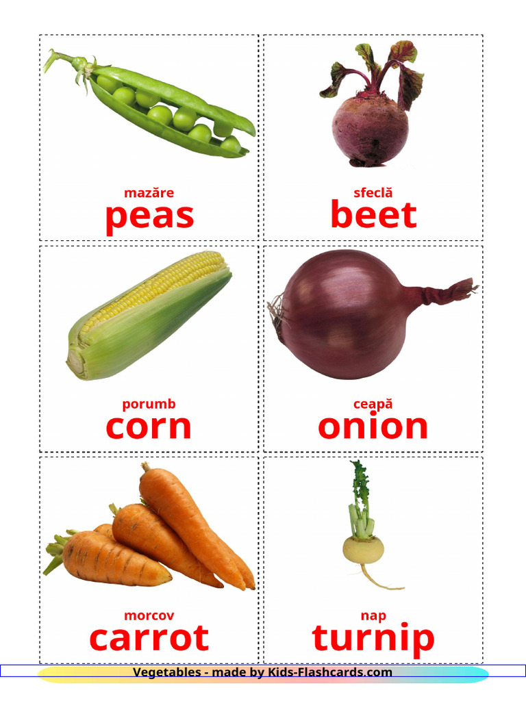 Vegetables 6 A4 | PDF