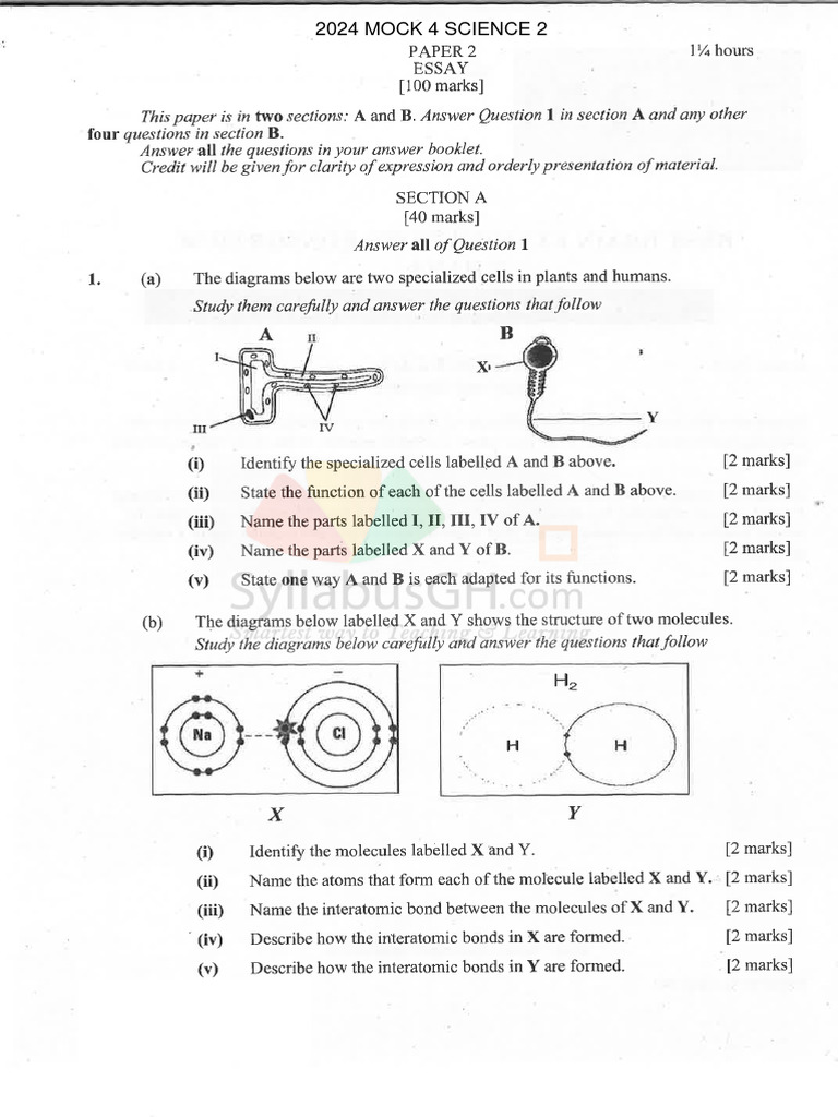 2024 Mock 4 Science 2 - 240226 - 201538 | PDF | Chemical Compounds | Sulfur