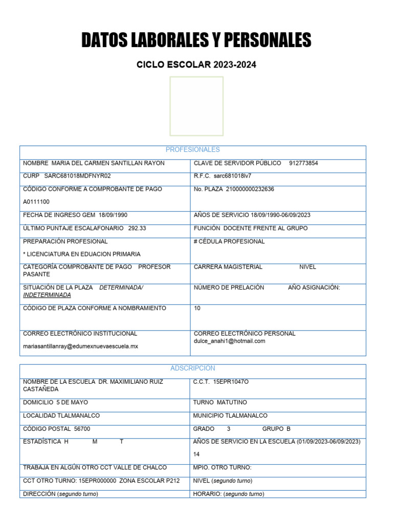 Formato Datos Profesionales | PDF