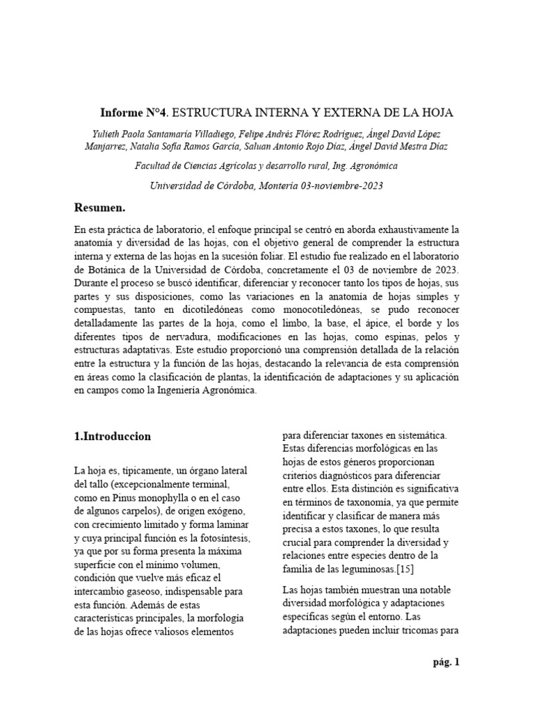 Imforme 4 Botanica | PDF | Hoja | Plantas