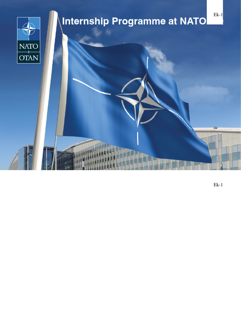 NATO'da Staj Programı | PDF | Cost Of Living | Internship