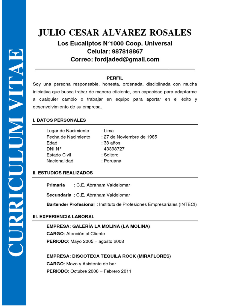 CV JULIO ALVAREZ 2 | PDF